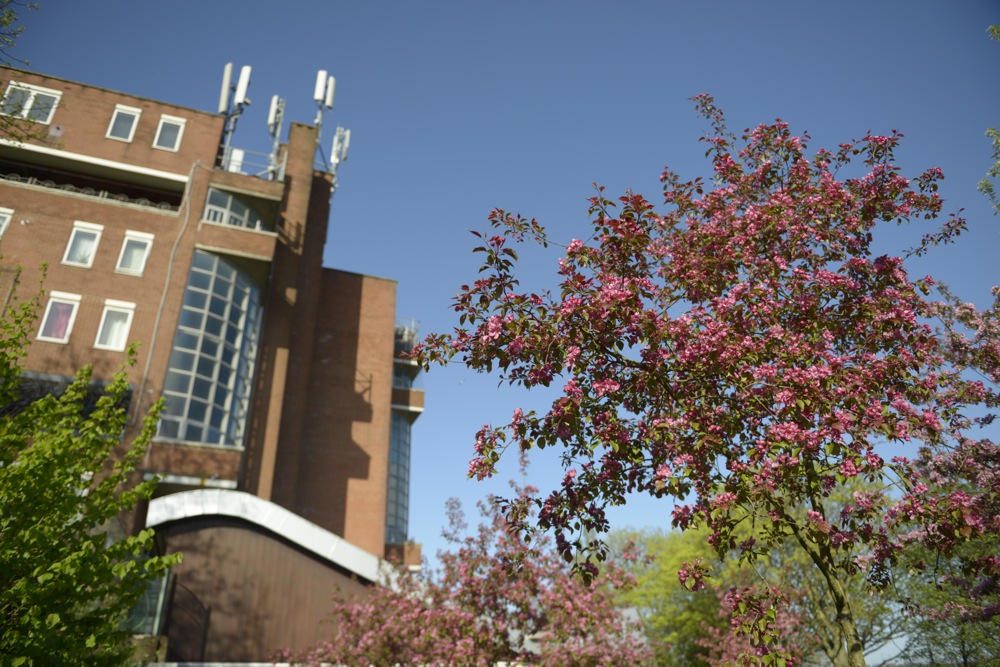 Chettle Court Photography Project – Crouch End | London | N8